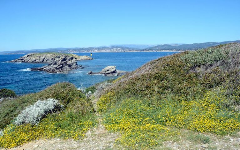 Liberty Pass les Embiez - Liberty Pass