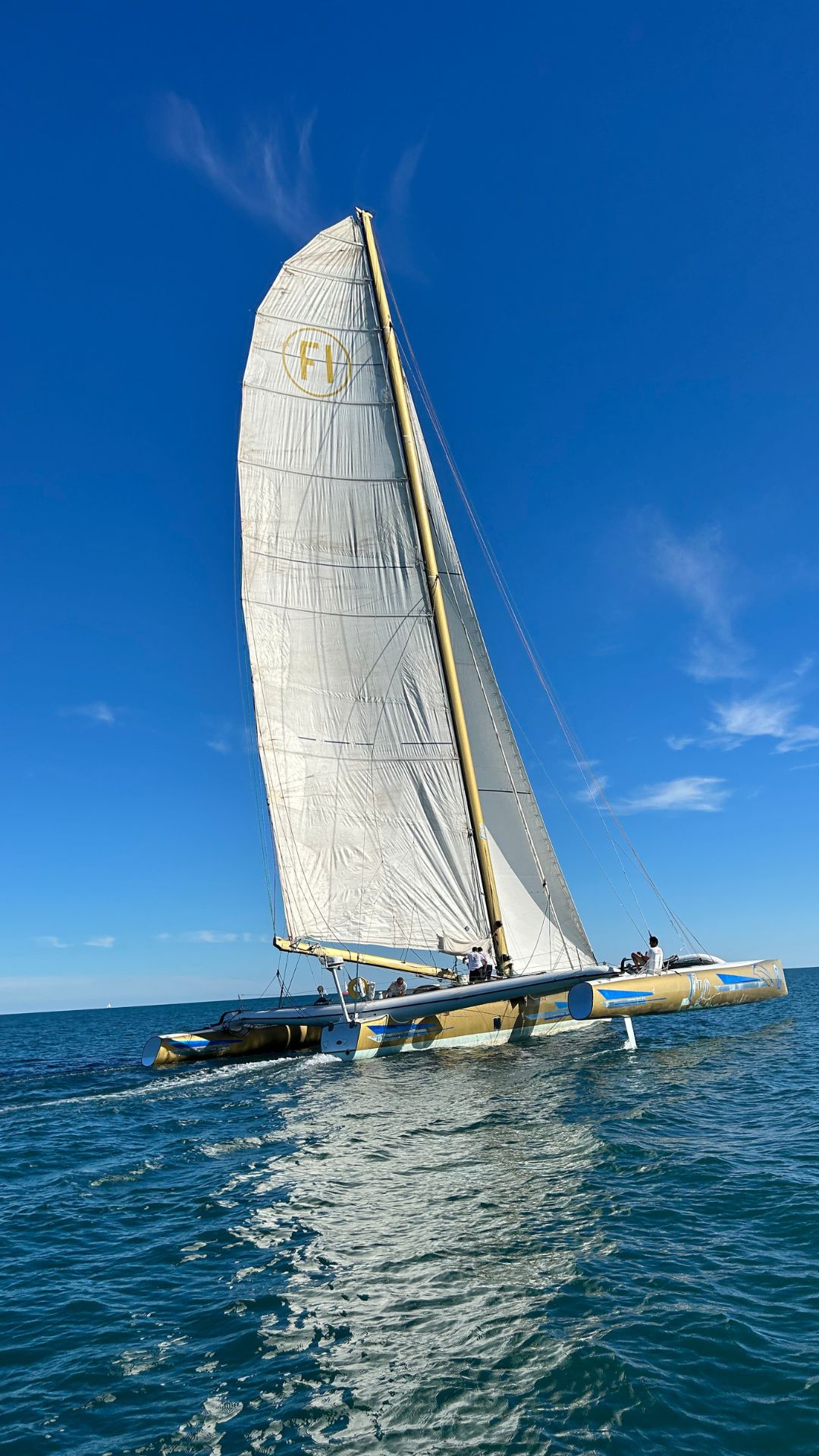 Une sortie sur le trimaran FLO offerte - Liberty Pass