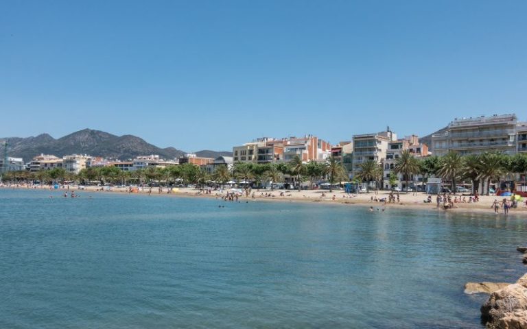 Liberty Pass Roses - Liberty Pass